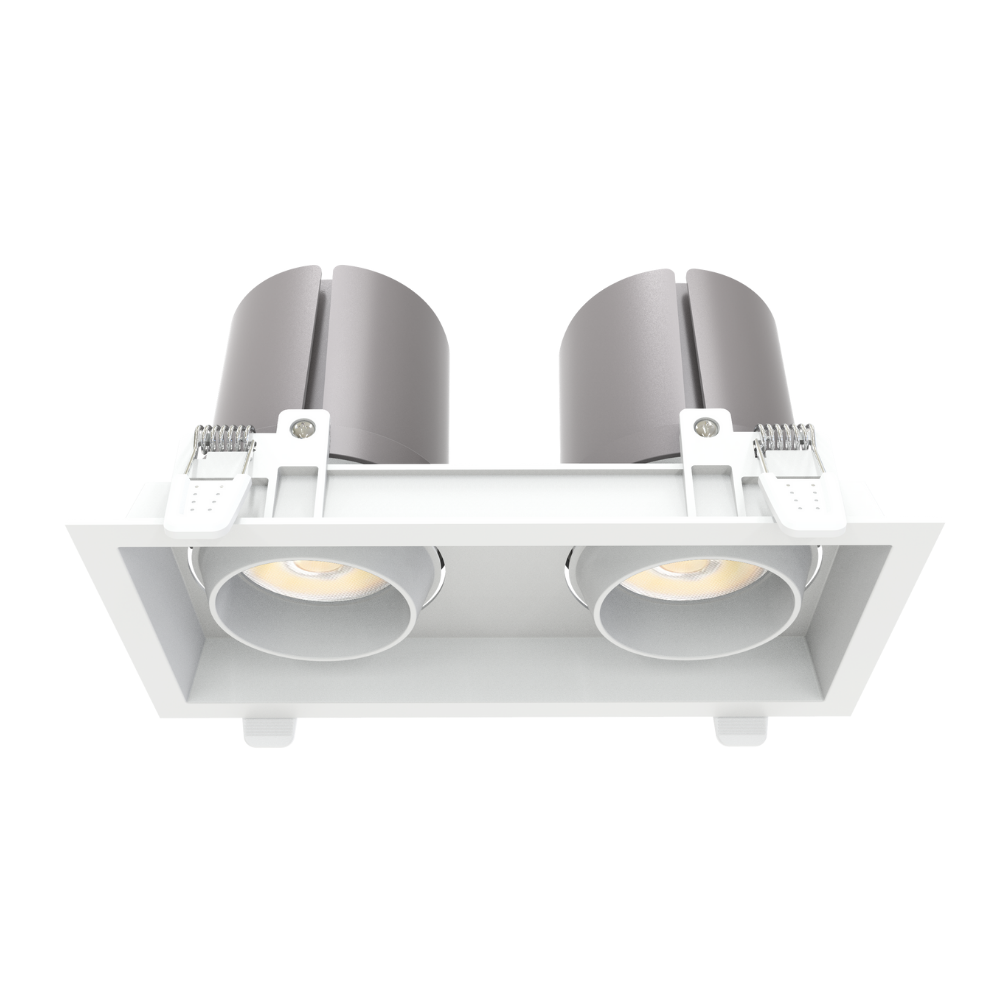 AE-DL-DUA-4-30-55-UV-50W-X – eralux